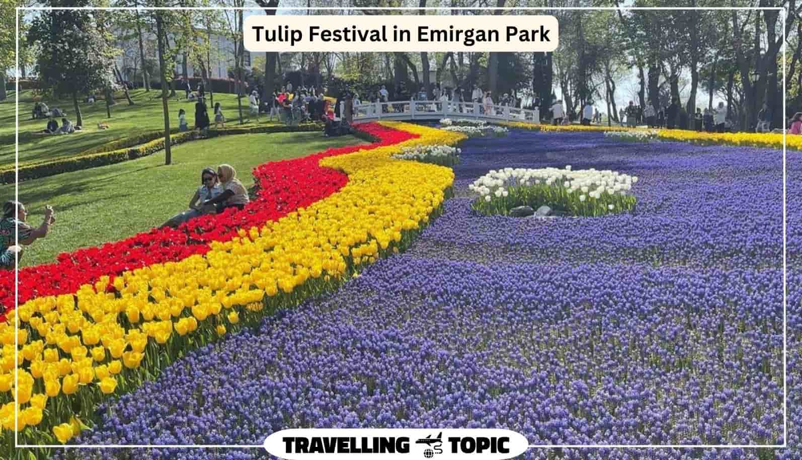 When Is The Tulip Festival In Istanbul? | Ways+Places