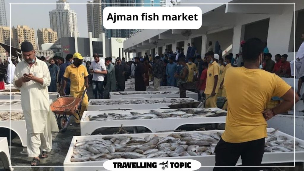 Top 4 Places To Visit in Ajman for Free