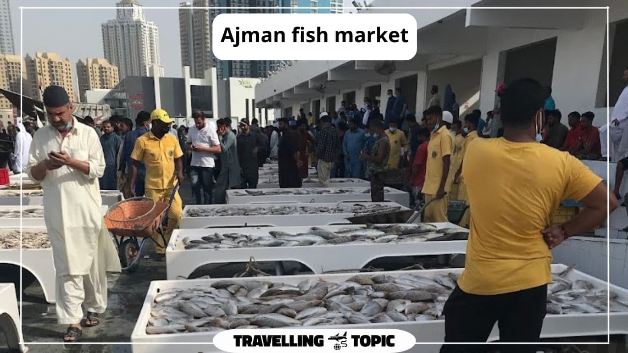 Top 4 Places To Visit in Ajman for Free