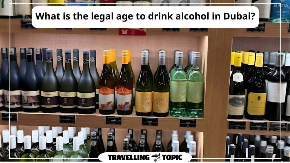 Legal Age To Drink Alcohol In Dubai - Travelling Topic