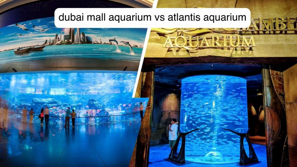 Dubai Mall Aquarium Vs Atlantis Aquarium (Lost Chambers)