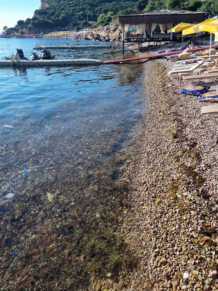 Noya Beach Istanbul | Price + Access Way+ Facilities